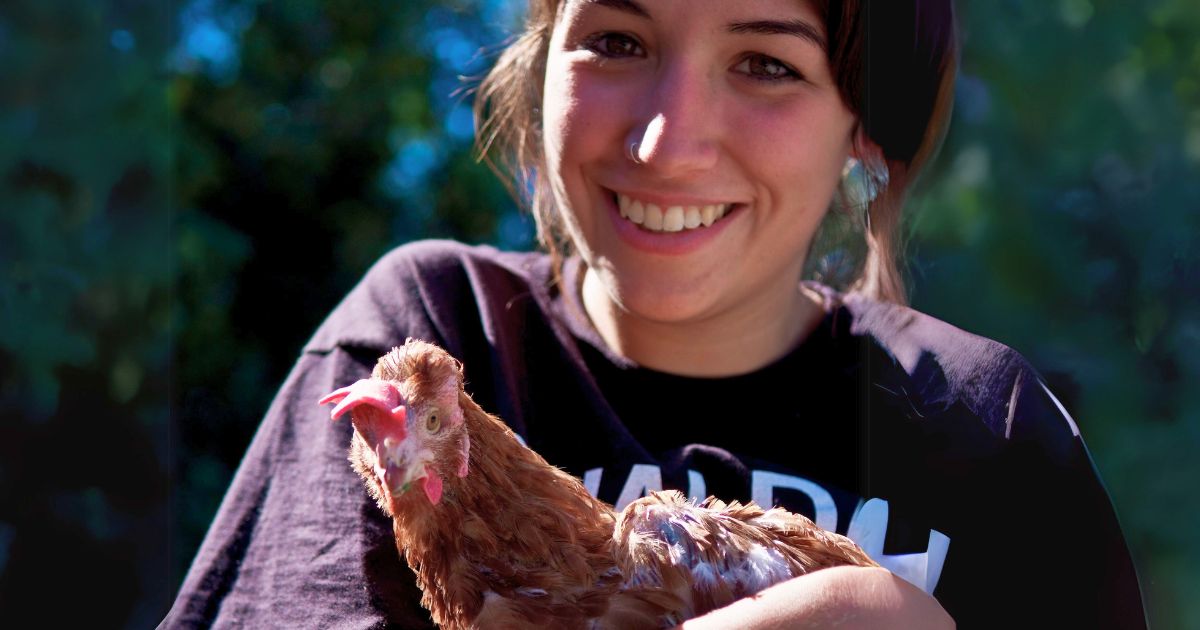 6 ways to become an animal protector | Love Veg