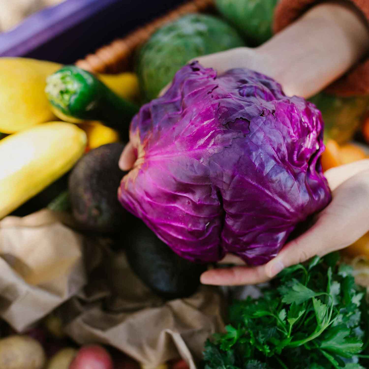 Irish corned cabbage | Love Veg